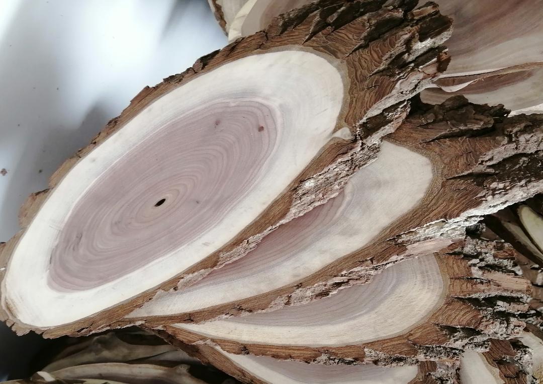 Live Edge Black Walnut Wedding Event Coasters – Oapex Ltd.